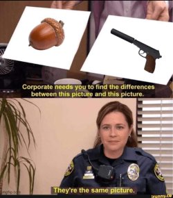 Cop shoots acorn | The Armory Life Forum
