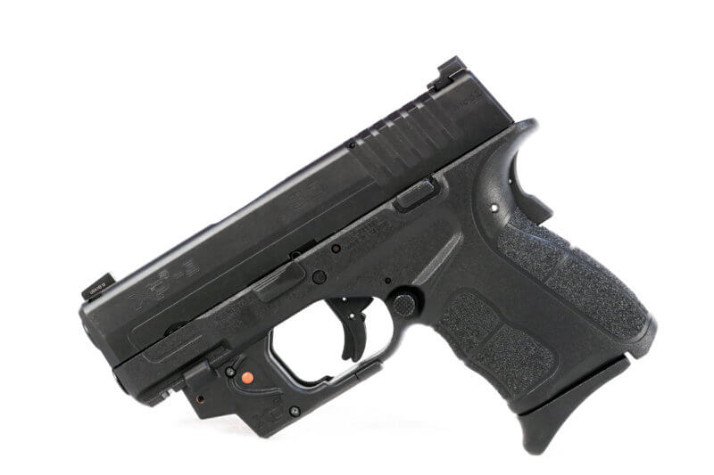 Stay Prickly, for Pennies - The Armory Life