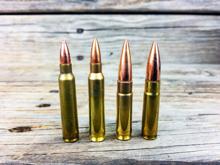 5.56 vs. 300 BLK: Which Rifle Cartridge Is Best? - The Armory Life