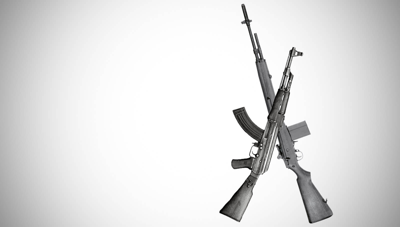 Enemies: AK vs. M14 - The Armory Life