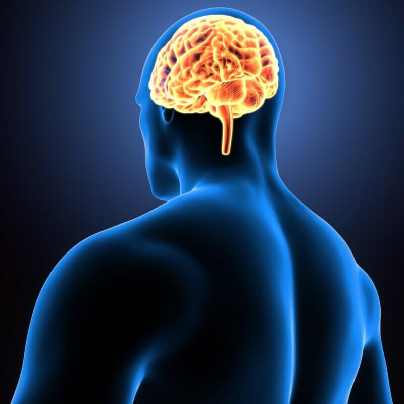 Beating the Psychological Refractory Period - The Armory Life