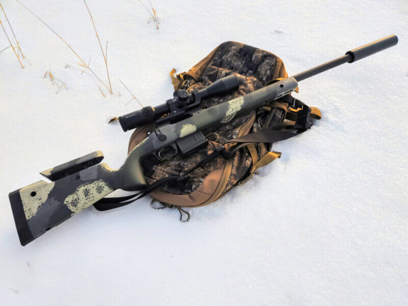 Predator Hunting with the Springfield Model 2020 Waypoint - The Armory Life