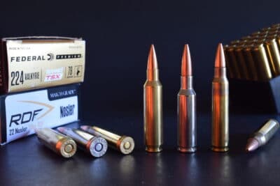 What Is the Best AR Caliber for Hunting? - The Armory Life