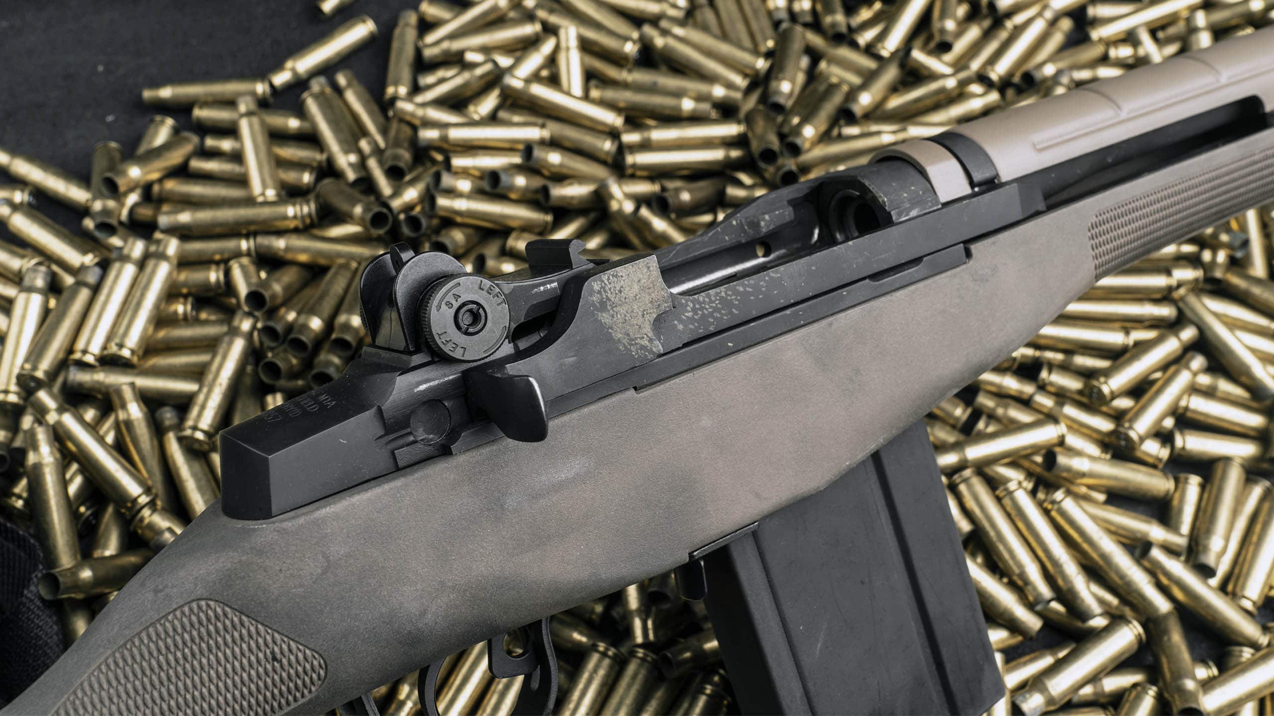 M1a Bolt Exploded View