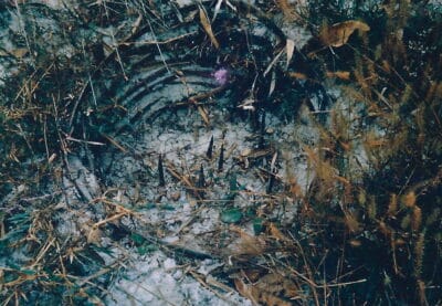 Dangerous Steps: Viet Cong Booby Traps - The Armory Life