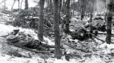 The First Russian-Ukrainian War … of 1919 - The Armory Life