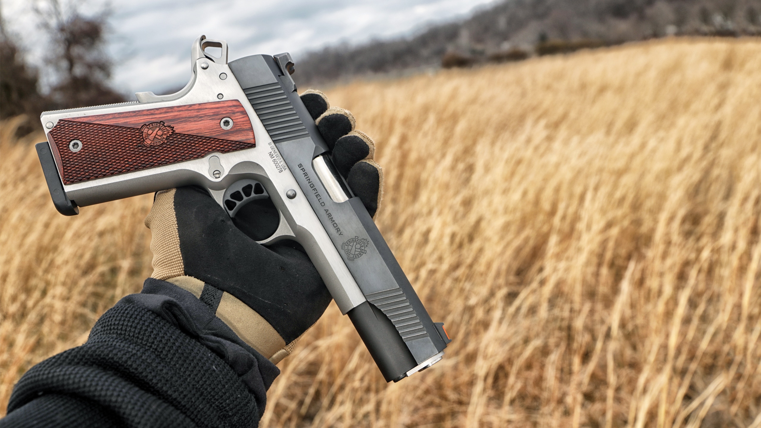 Ronin Bullet In Head