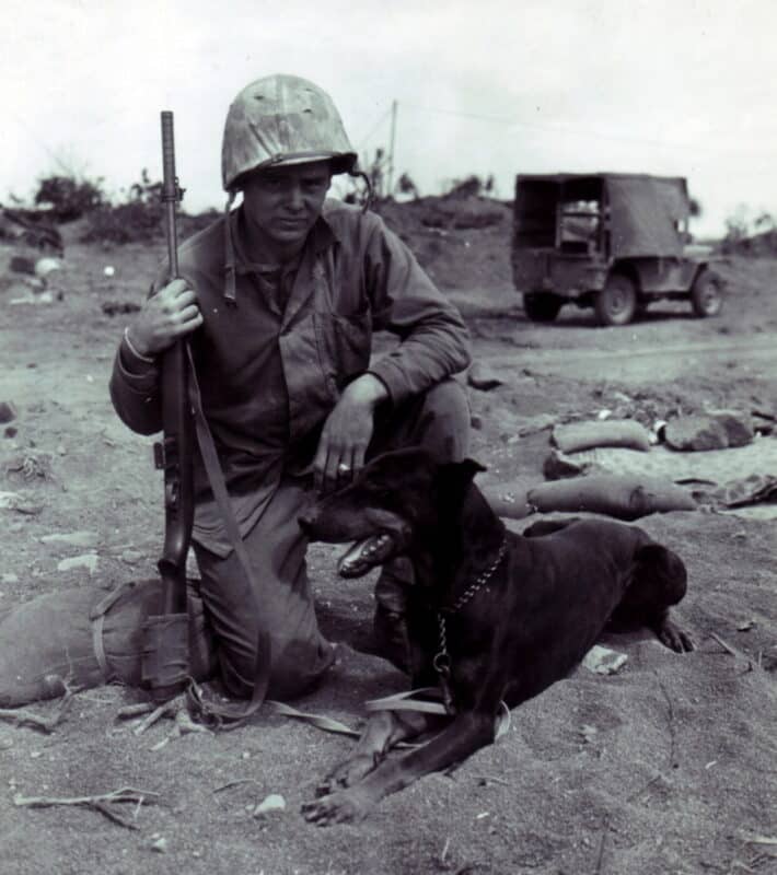 American War Dogs of World War II - The Armory Life