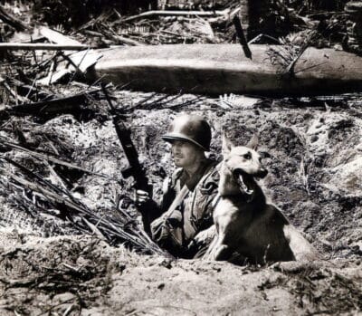 American War Dogs of World War II - The Armory Life