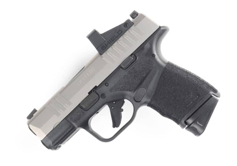 First Look: Stainless Springfield Hellcat - The Armory Life