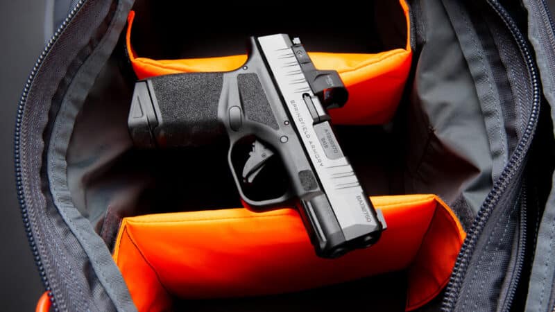 First Look: Stainless Springfield Hellcat - The Armory Life