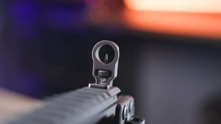 How Do You Use the Hellion’s Iron Sights? - The Armory Life