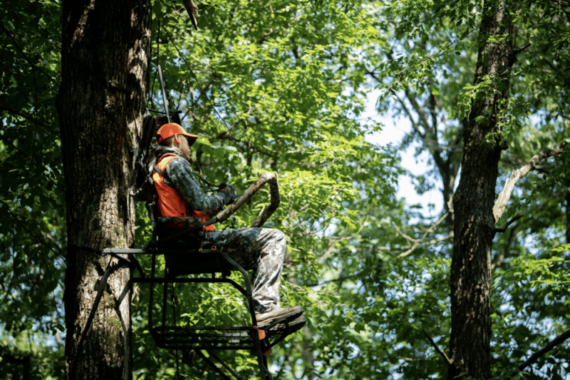 Killer Tree Stands: The Devil Is in the Details - The Armory Life