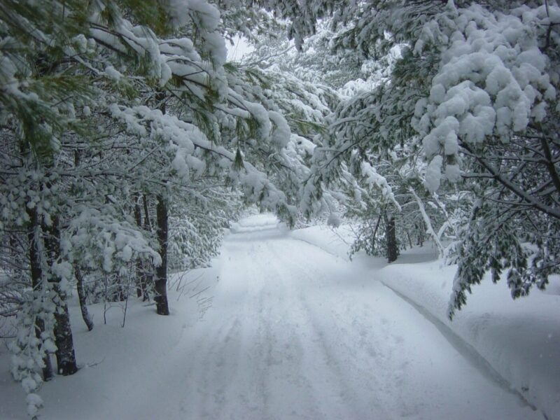 My Winter Survival Story — Don’t Make The Same Mistakes! - The Armory Life