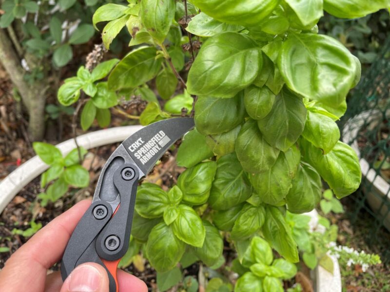 CRKT Provoke Review: Karambit with a Twist - The Armory Life