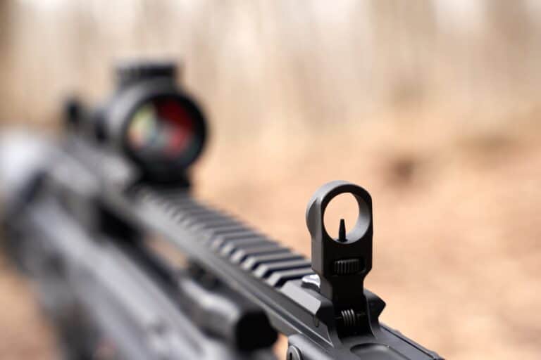 Springfield Hellion Review: Range Testing and More - The Armory Life