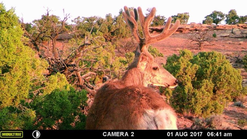 How Do You Plan a DIY Hunt? - The Armory Life