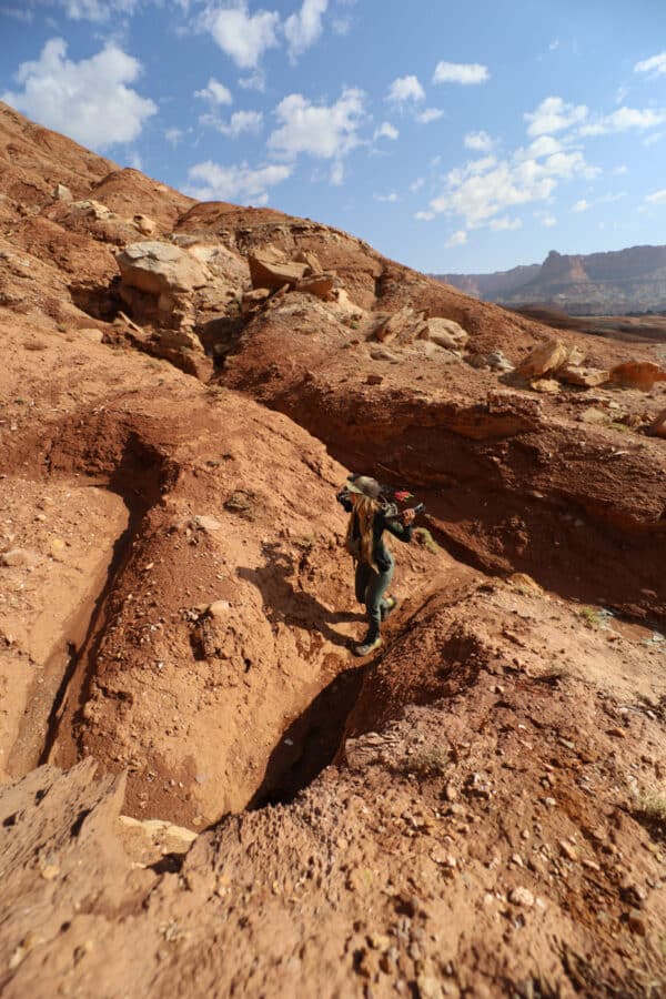 Backing Up the Bow: Carrying a Sidearm When Bowhunting - The Armory Life