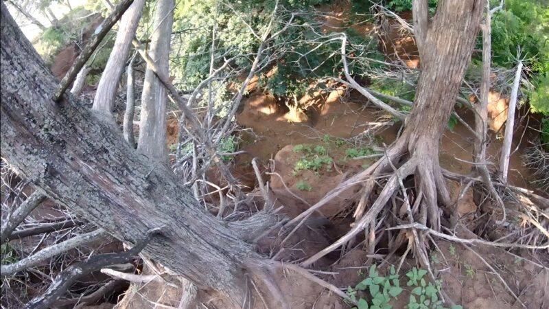 Hog Hunting with the 10mm XD-M Elite - The Armory Life