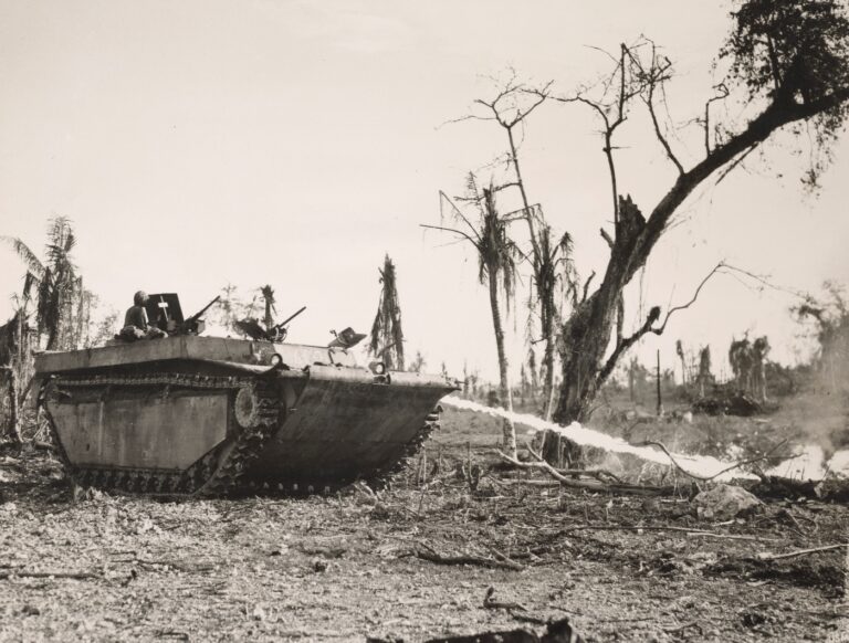 Battle of Peleliu — Revisiting a Meat-Grinder of the Pacific War - The ...