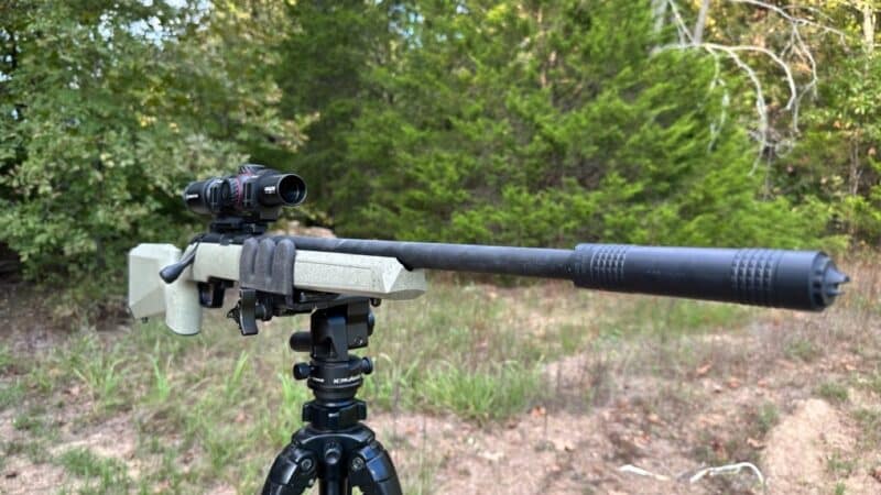 Best Rimfire Rifle for the Money? - The Armory Life