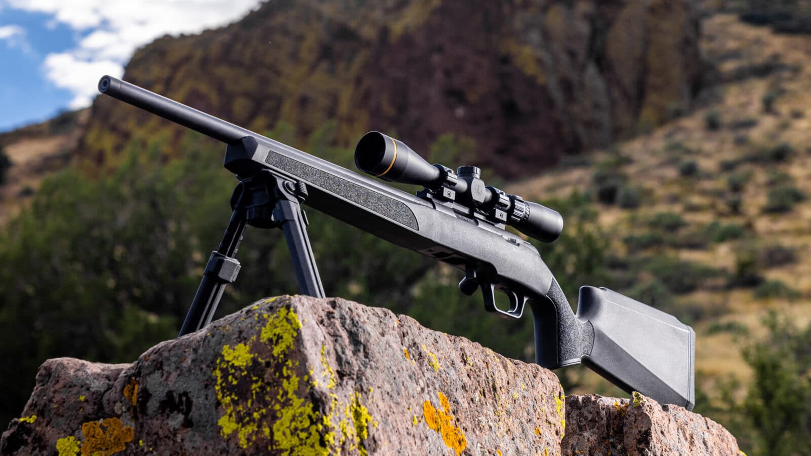 Best Rimfire Rifle for the Money? - The Armory Life
