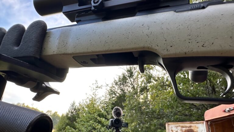 Best Rimfire Rifle for the Money? - The Armory Life