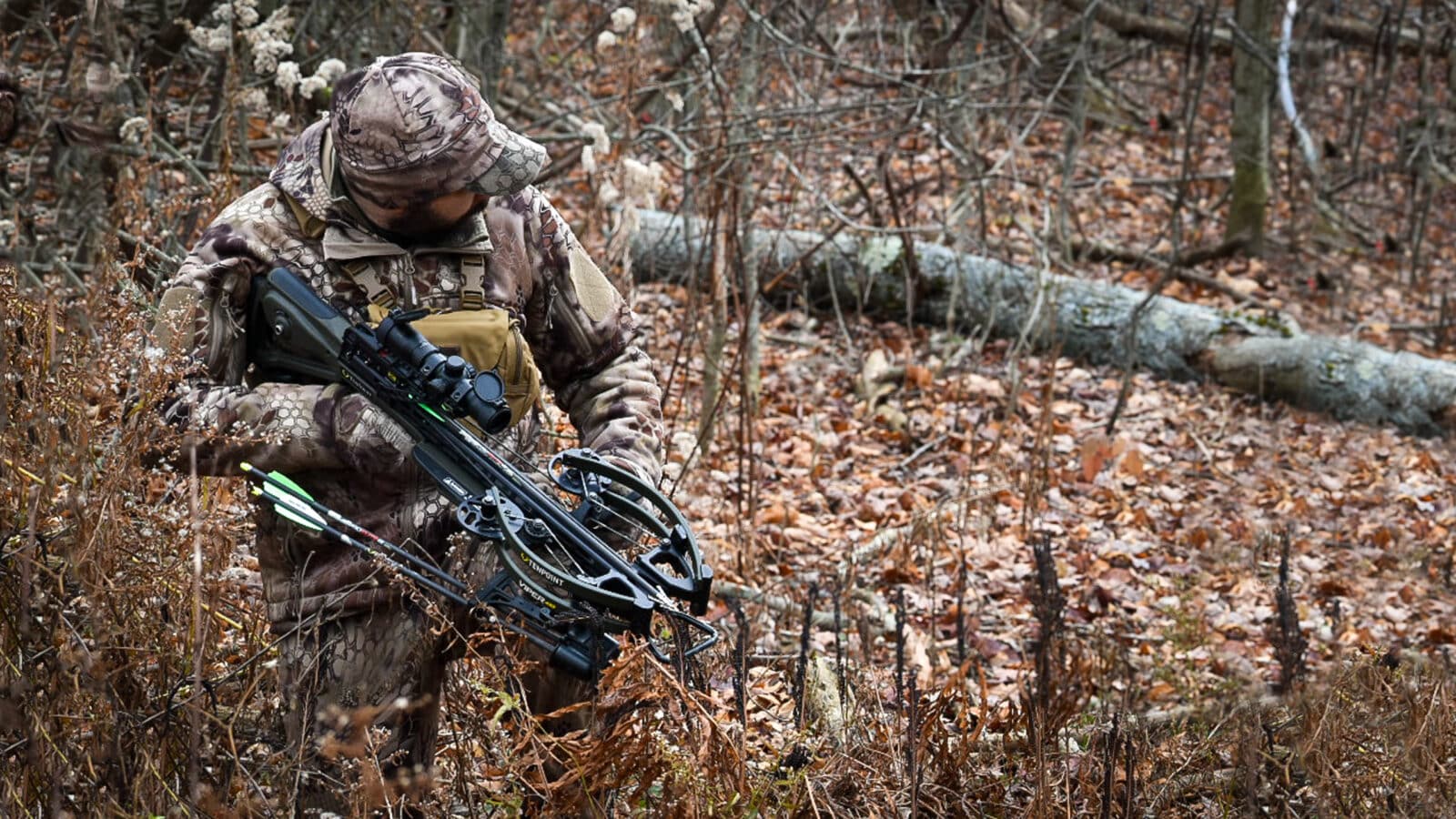 Why I Use a Crossbow to Hunt - The Armory Life
