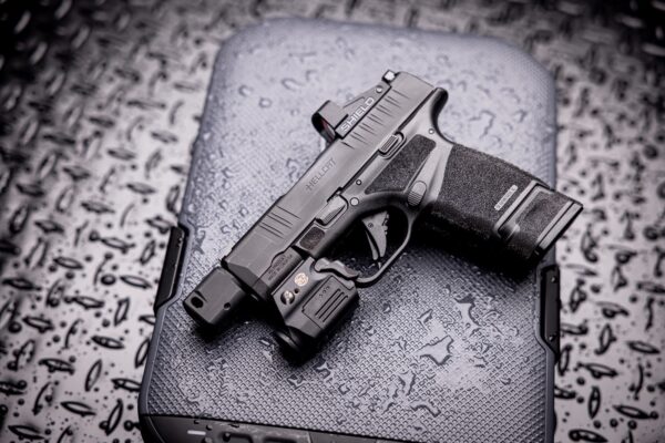 What Is the Best Hellcat for You? - The Armory Life