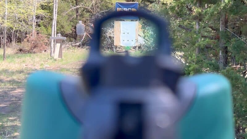 Federal Syntech 9mm and the Prodigy: The Ultimate Hog Hunting Combo ...