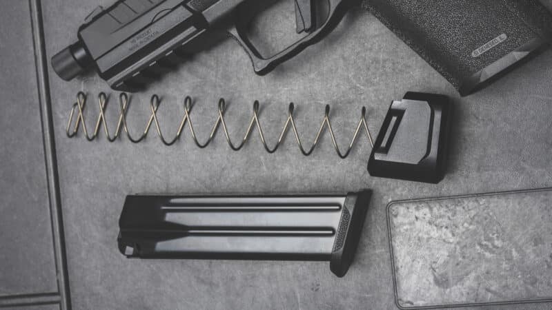 Springfield Armory Echelon Upgrades - The Armory Life