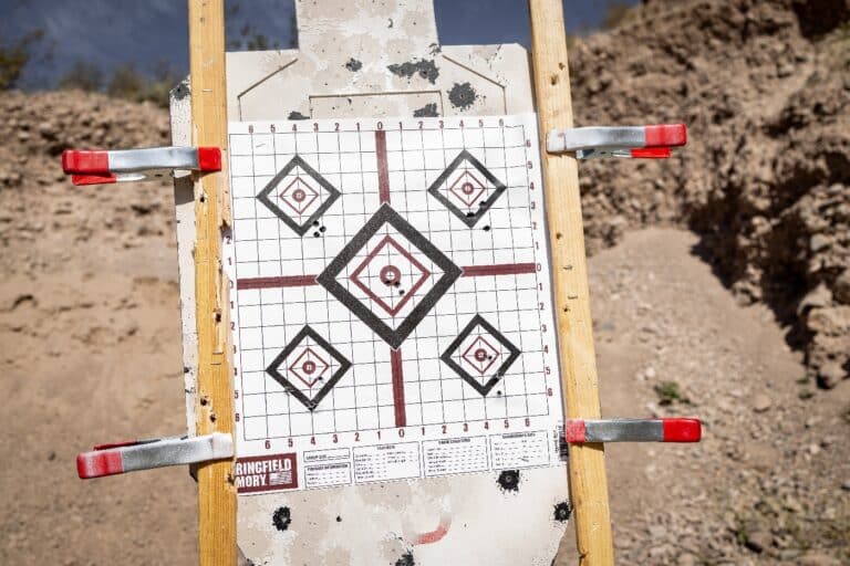 Review: Springfield Armory Model 2020 Long-Action Waypoint - The Armory ...