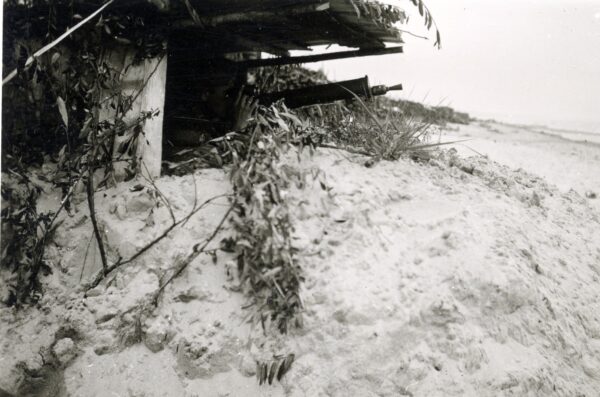 Foreign Weapons at the Nazi’s “Atlantic Wall” - The Armory Life