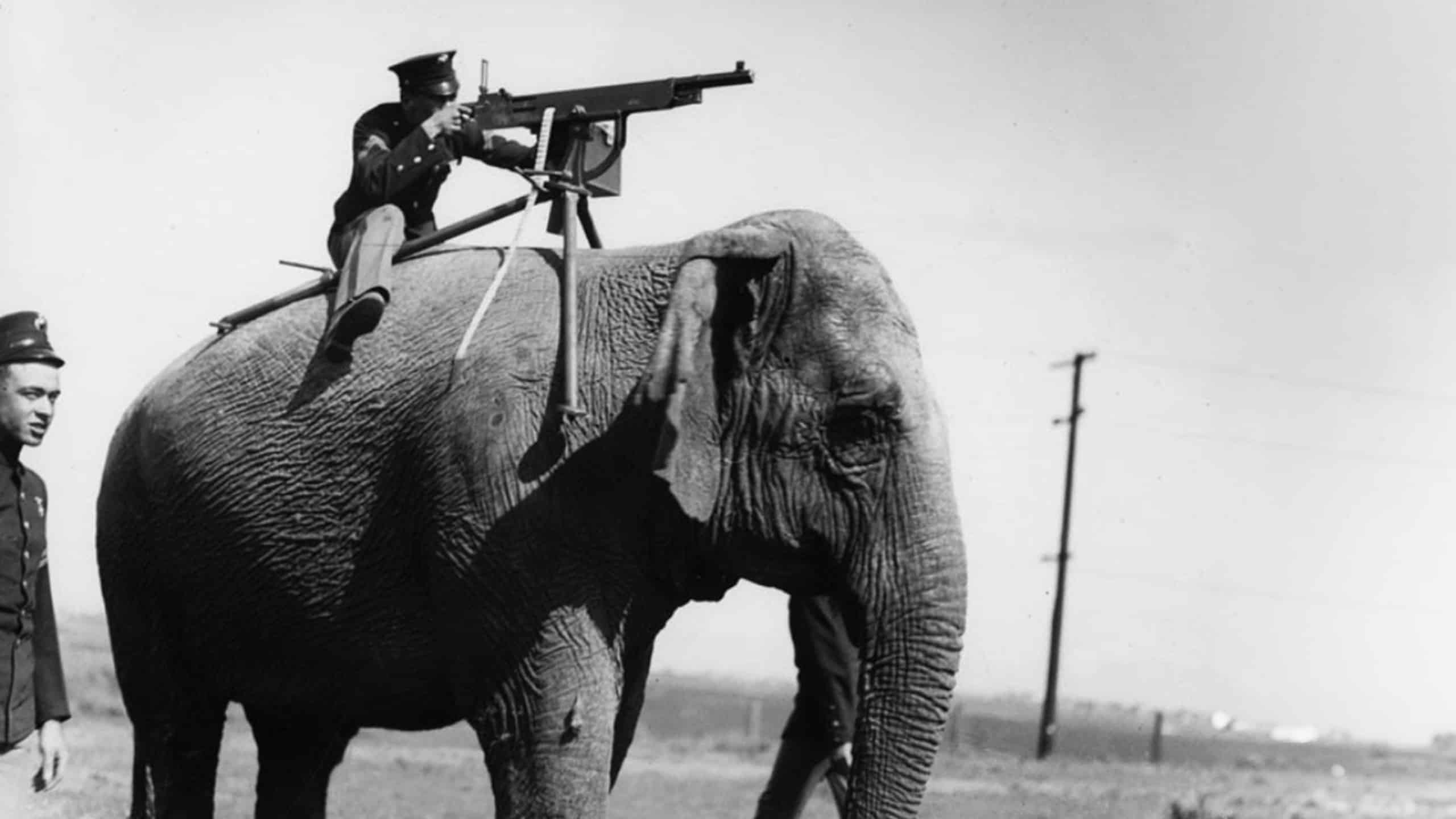 M1895 “Potato Digger” Machine Gun - The Armory Life