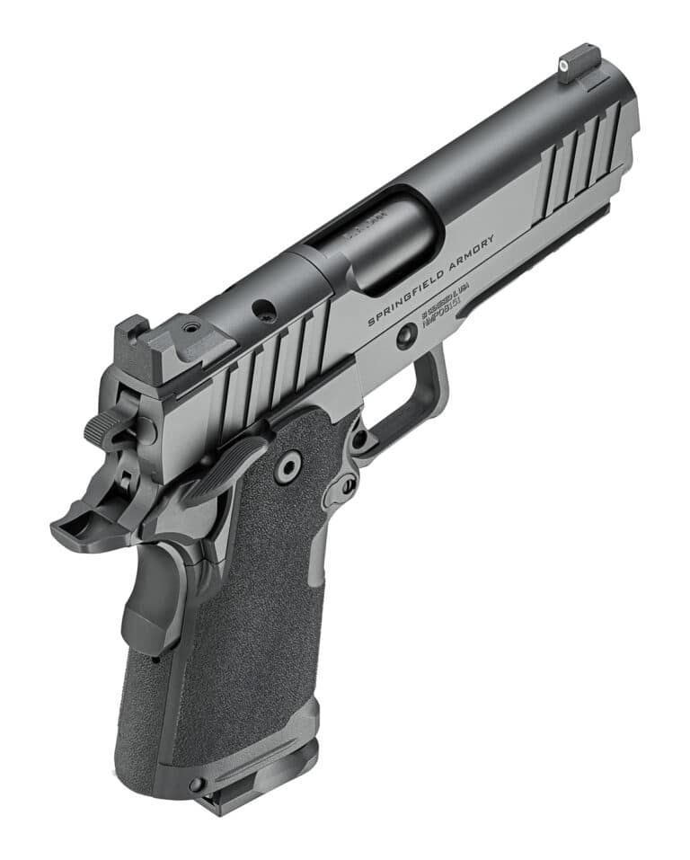 First Look: 1911 DS Prodigy Compact 9mm Pistols - The Armory Life