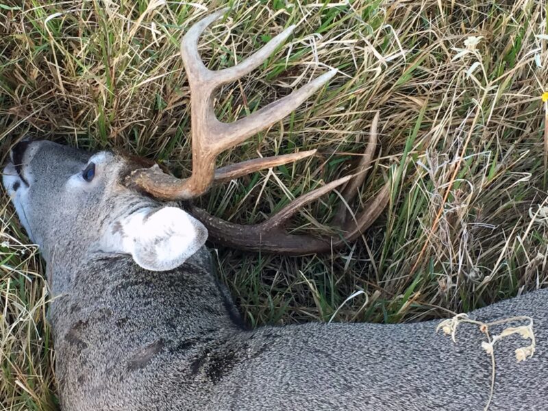 Vortex Razor HD 4000 Rangefinder Review & Field Test - The Armory Life