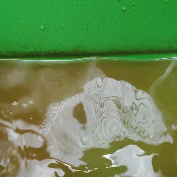 How Do I Fix a Rusted Gun? - The Armory Life