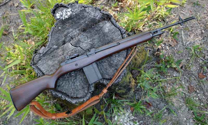 M1A vs. AR-10: Comparing Classic .308 Rifles - The Armory Life